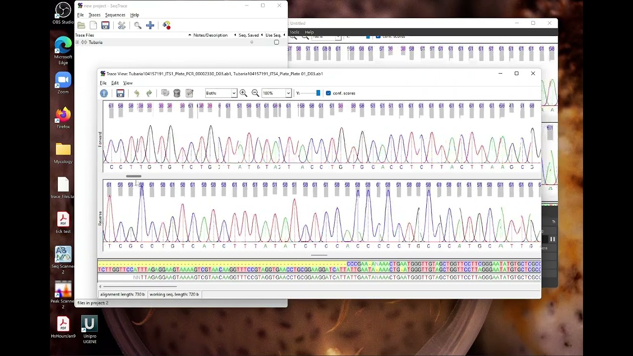 Building a contiguous sequence from forward and reverse traces using ...