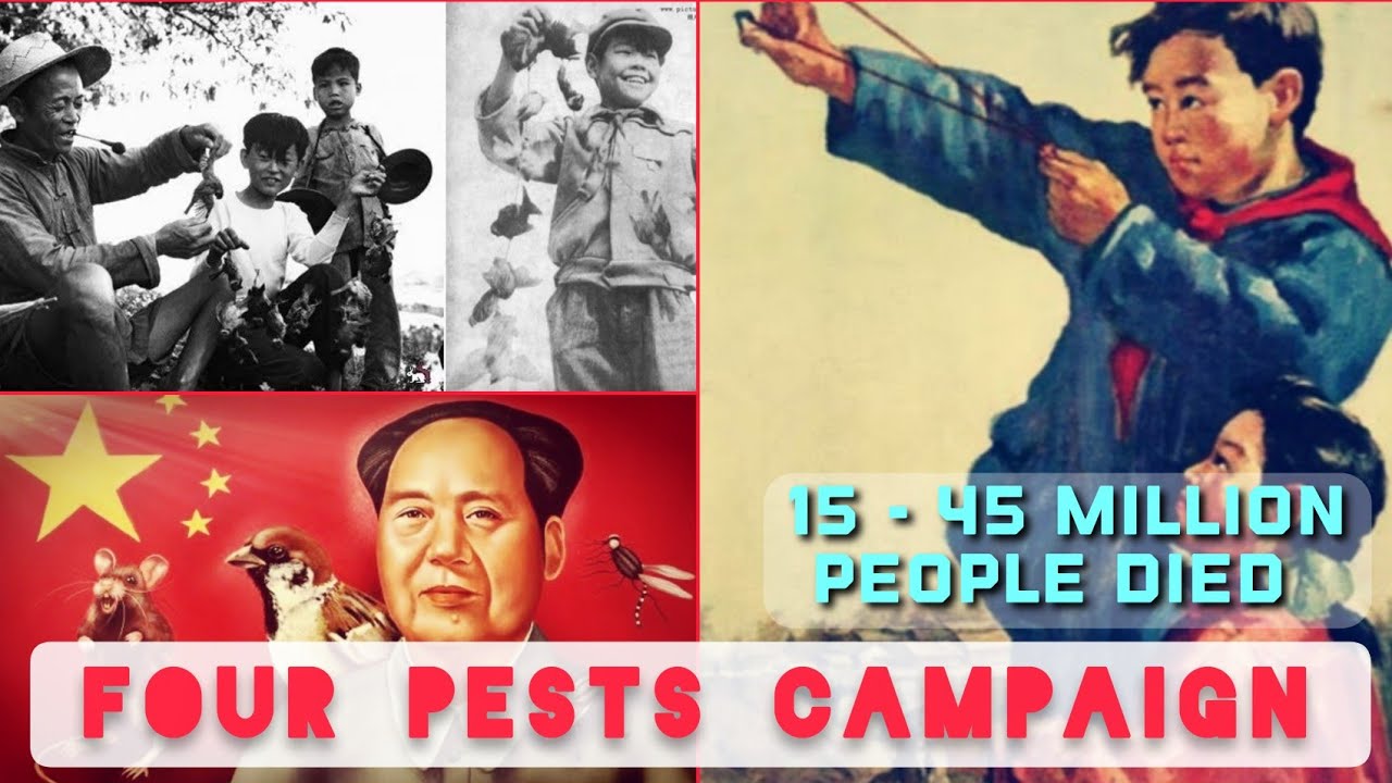 Four Pests Campaign | China's Great Famine | Smash Sparrows Campaign ...