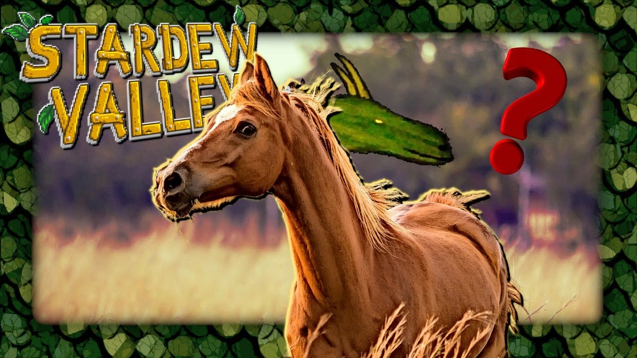 What Shall I Name My Horse Stardew Valley Live Stream 13 YouTube what-shall-i-name-my-horse-stardew-valley-live-stream-13-youtube