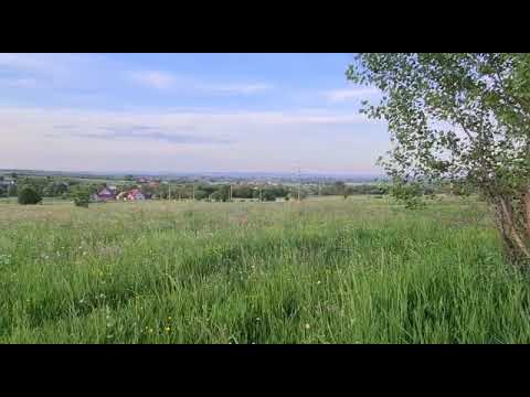 Poieni Solca pe înserate | 5 iunie 2020 - YouTube