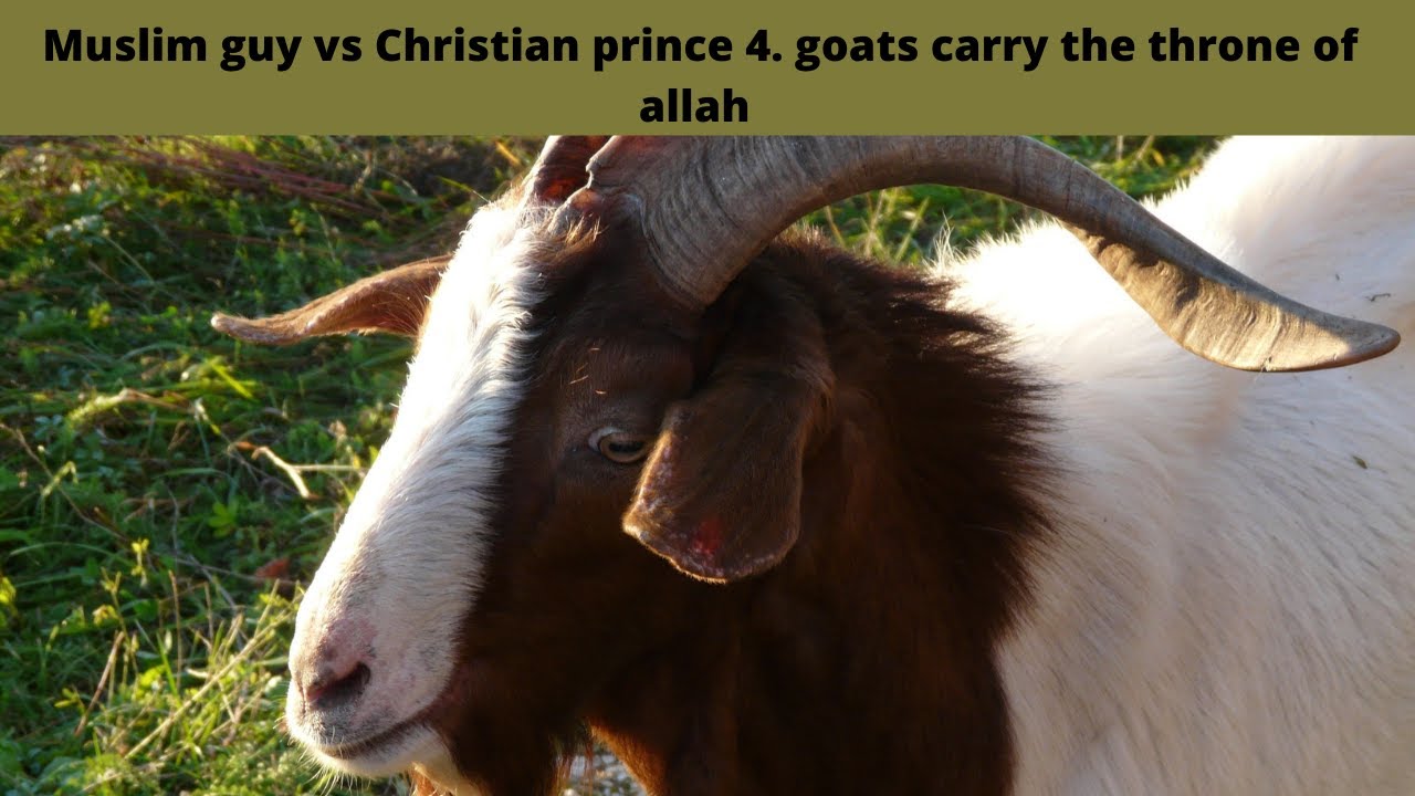 Muslim guy vs Christian prince 4. goats carry the throne of allah - YouTube