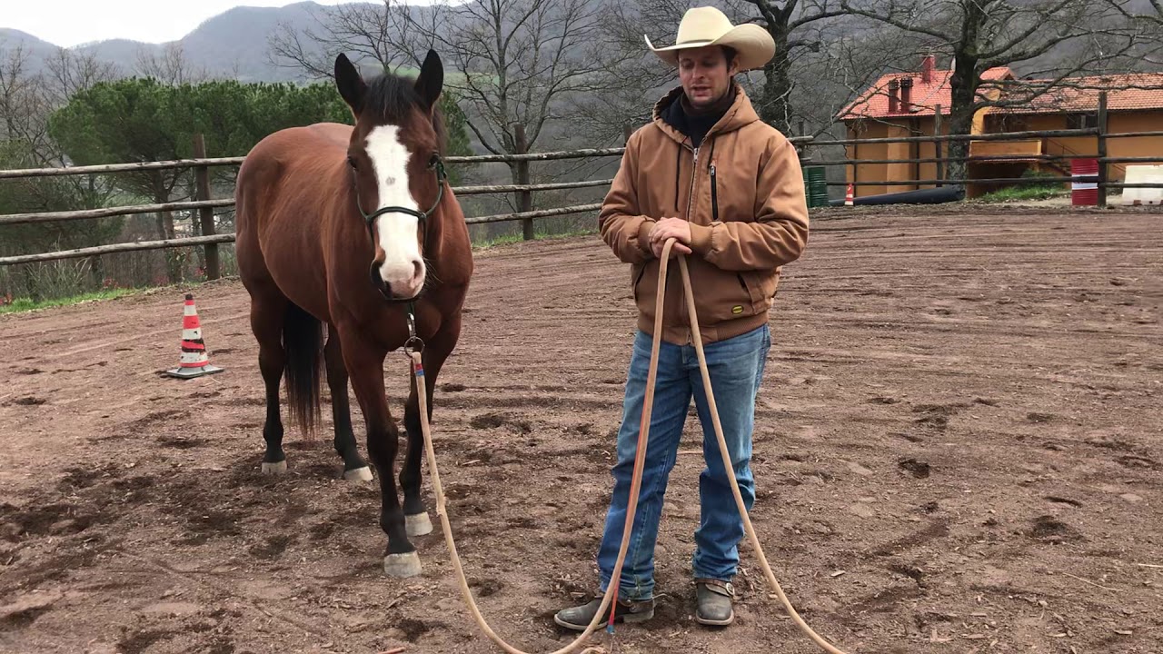 Weaves Pattern - Parelli Professional - YouTube