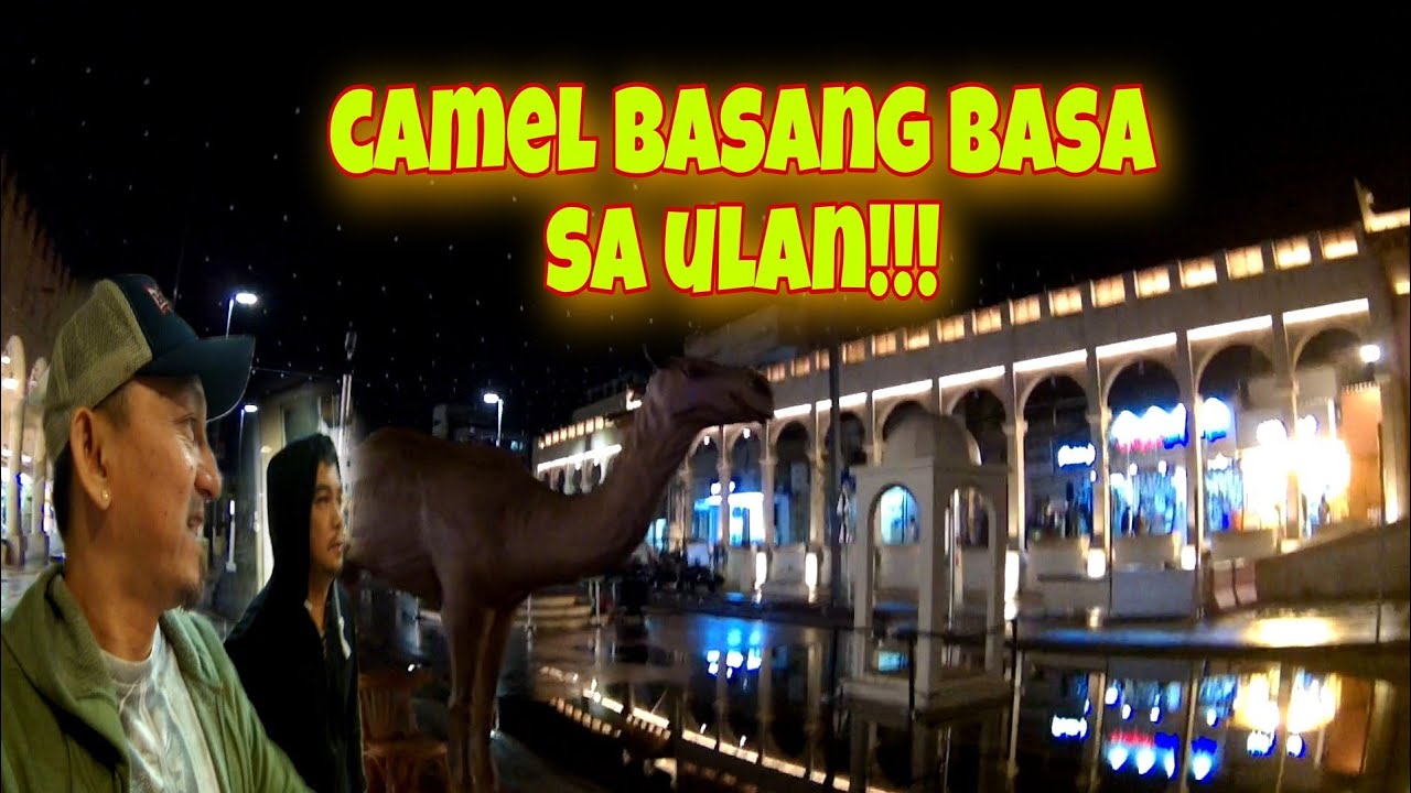 BASANG BASA YONG CAMEL SA ULAN l SOBRANG LAMIG l KATOL OFFICIAL - YouTube