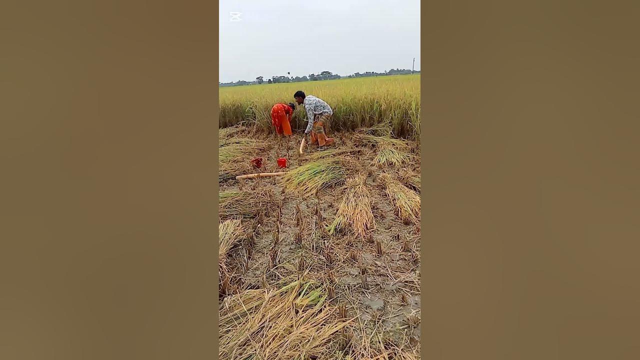 January 20, 2025 - YouTube