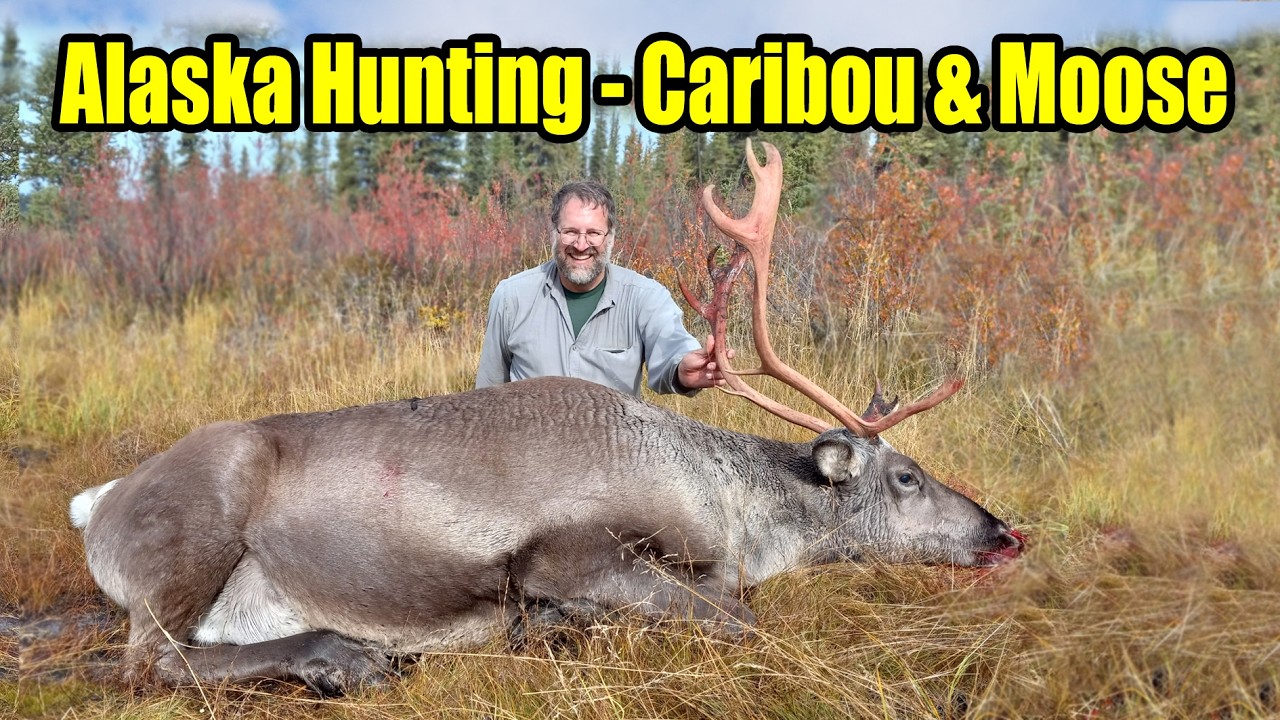 Epic Alaska Hunt: Battling the Elements for Caribou and Moose! - YouTube