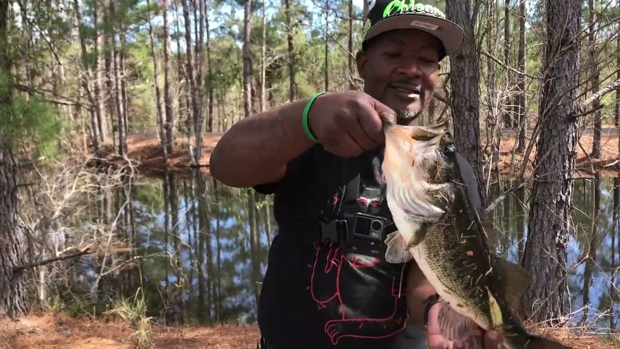 Raising Catfish In Backyard Pond