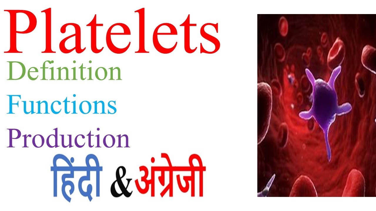 Platelets | definition | function | production | nursing | gnm | anm ...