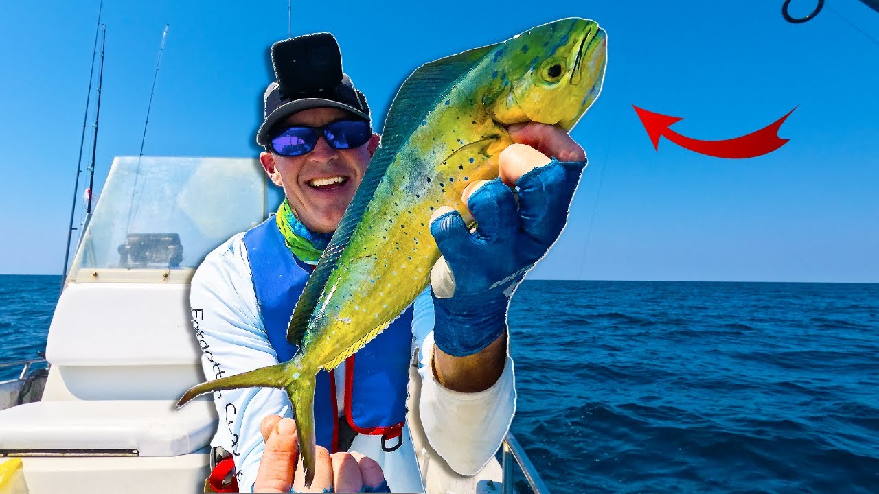 Multiple Ways To Catch Mahi Mahi! [Fishing How To Tips and Techniques ...