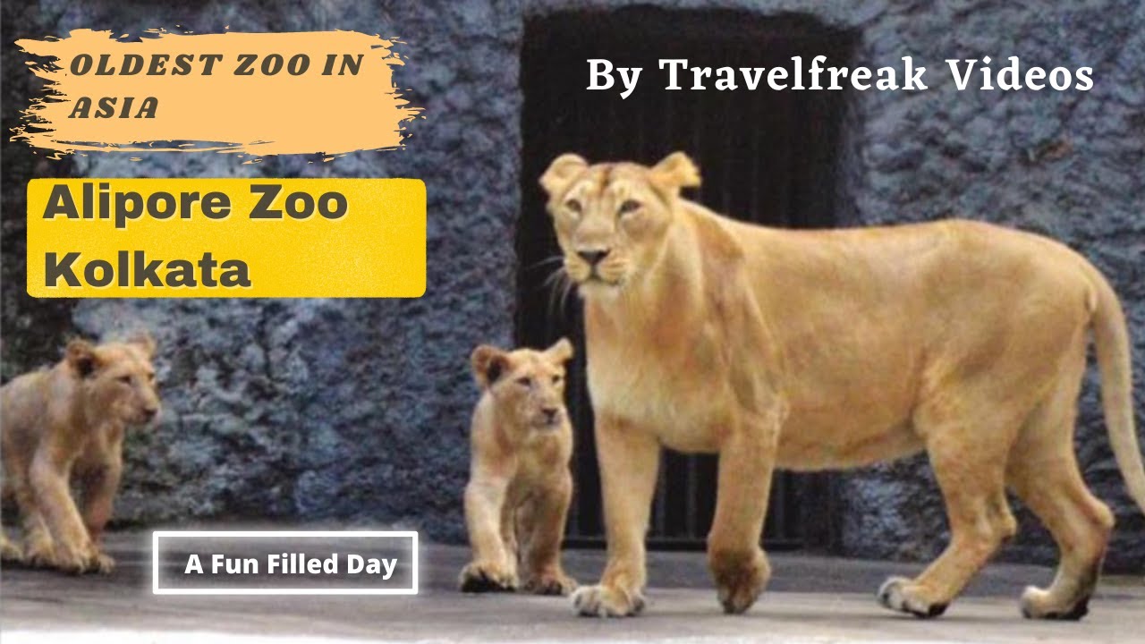 Tour of Alipore Zoo Kolkata - Asia's Oldest Zoo - YouTube