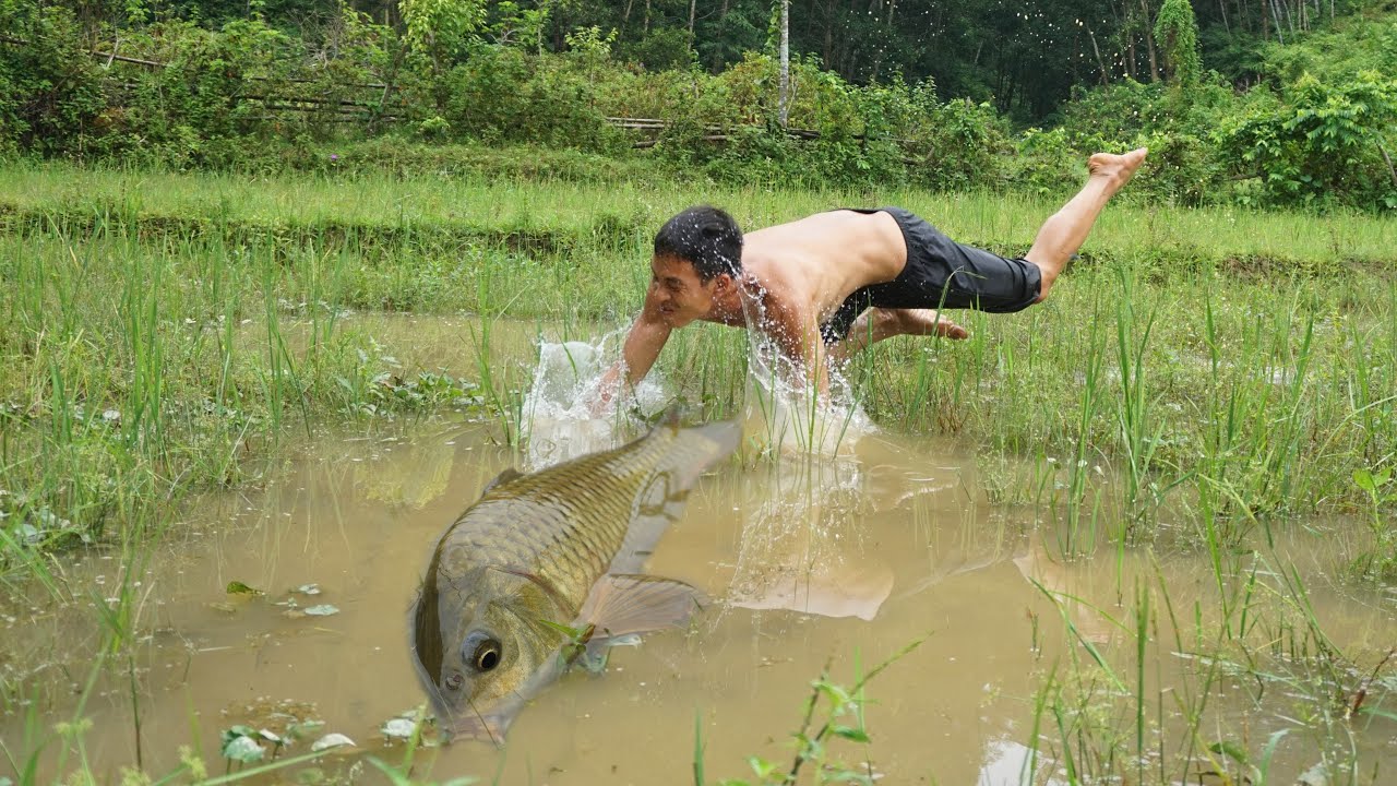 Unique Fishing, Use Bait To Lure Fish Into Shallow Water To Catch Fish - YouTube