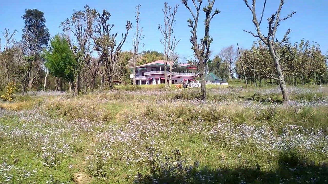 My Village - Balol(HP Kangra) - YouTube