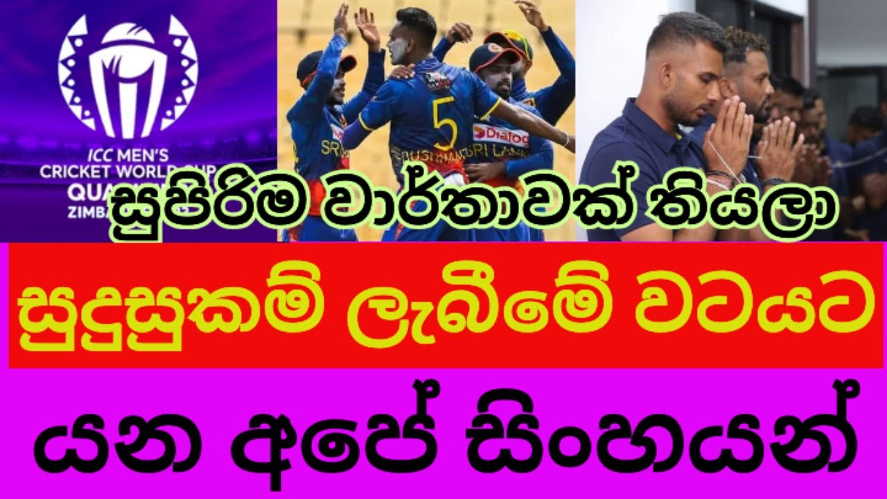 සුපිරිම වාර්තාවක් තියලා, සුදුසුකම් ලැබීමේ වටයට යන අපේ සිංහයන් | icc ...