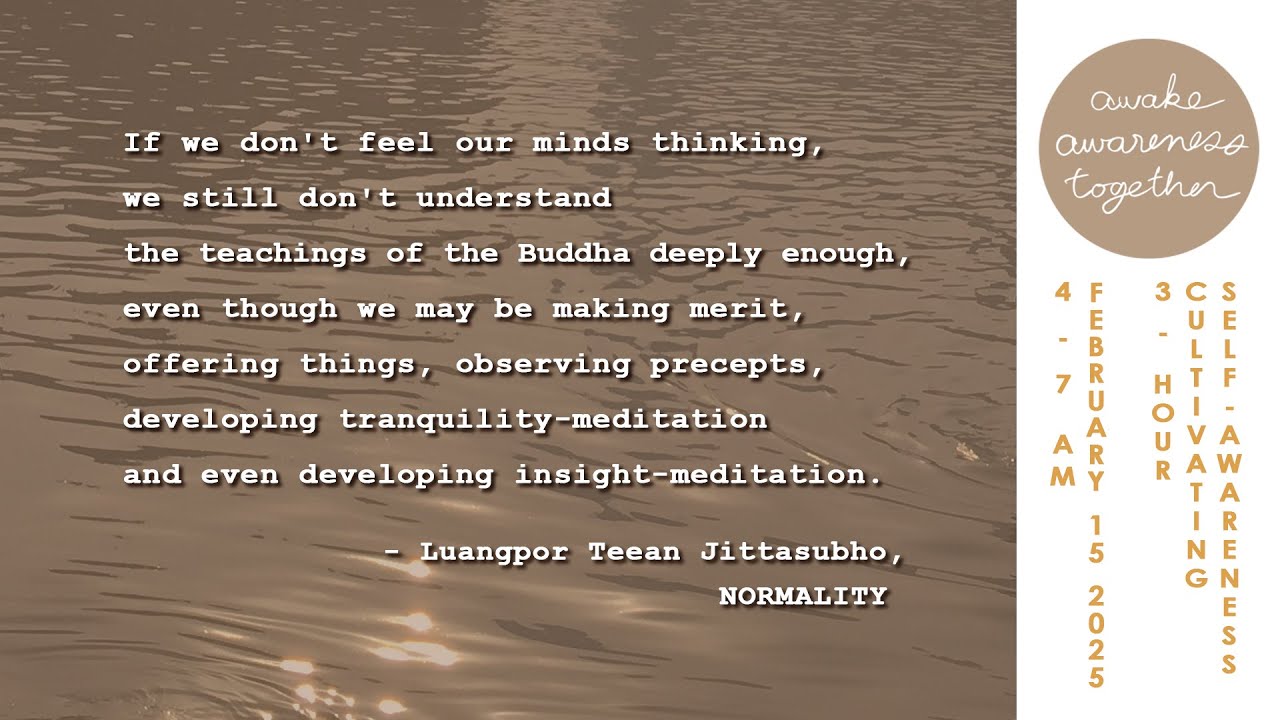 Daily Practice: 3-Hour Cultivating Self-Awareness | Equanimity ...