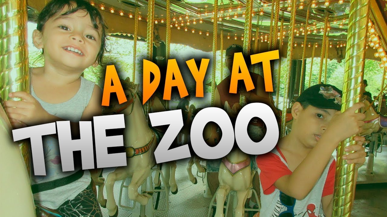 A day at the Zoo Paramus, NJ - YouTube