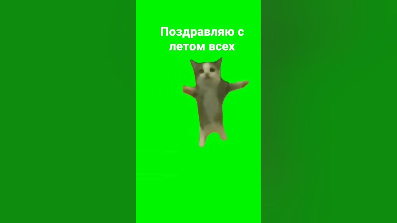 хапи хапи хапи хапиии #хапи #лето - YouTube