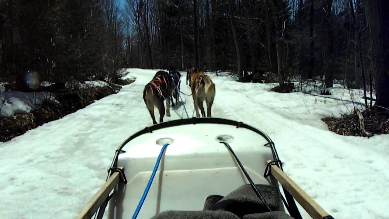 Tanya and Eden Dog Sledding's "Unchained Gang" - YouTube