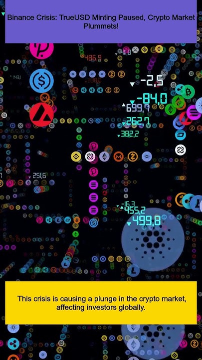 Binance Crisis: TrueUSD Minting Paused, Crypto Market Plummets! - YouTube