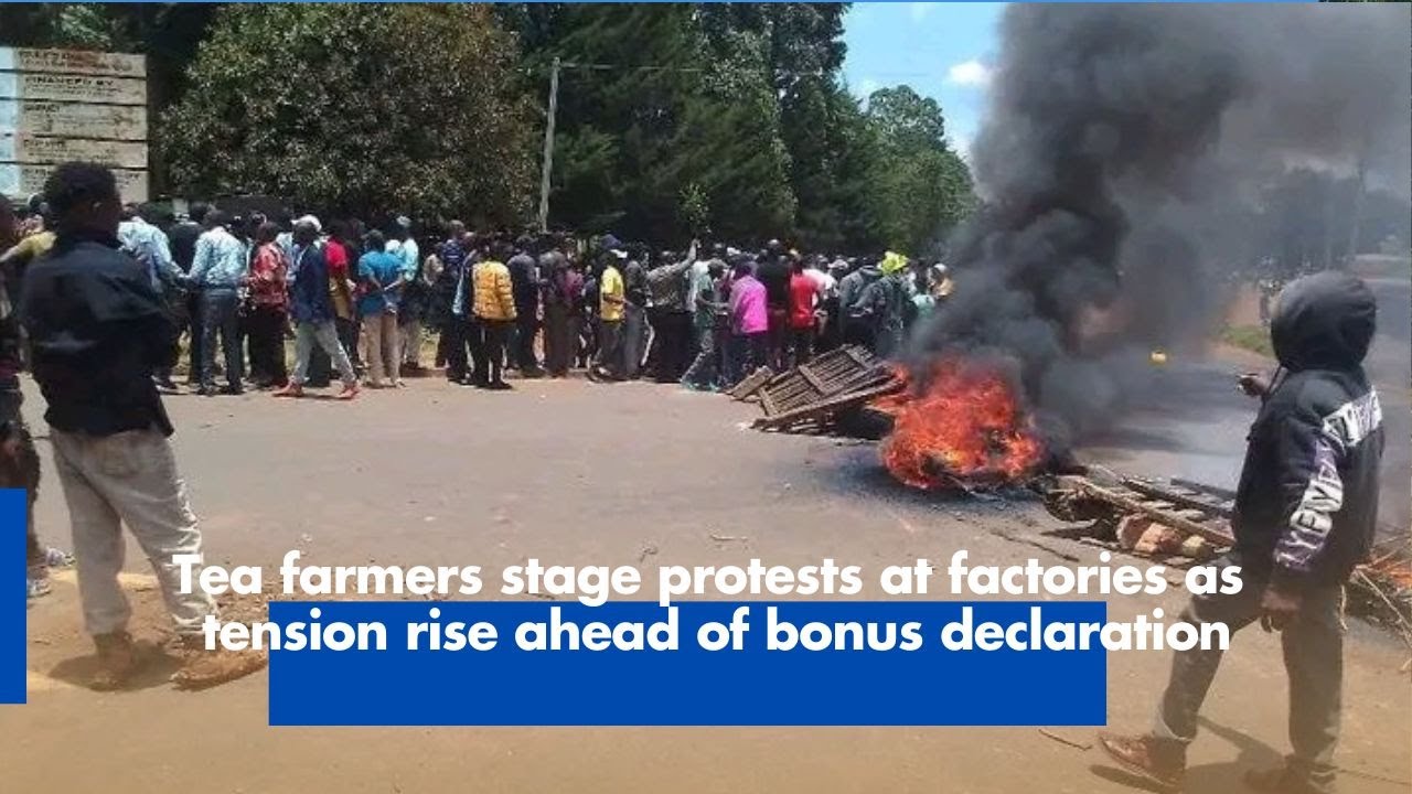 Tea farmers stage protests at factories as tension rise ahead of bonus ...