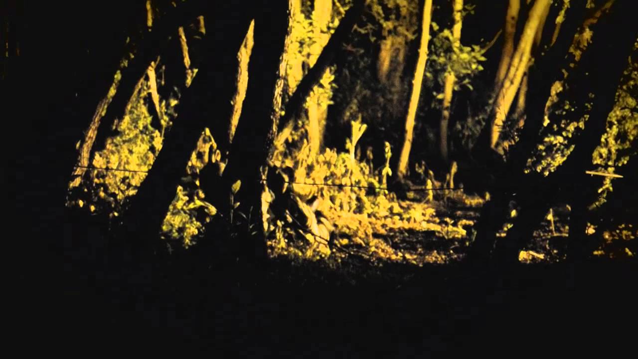 2620 Squadron RAF Reserves June 12 Training Video - YouTube