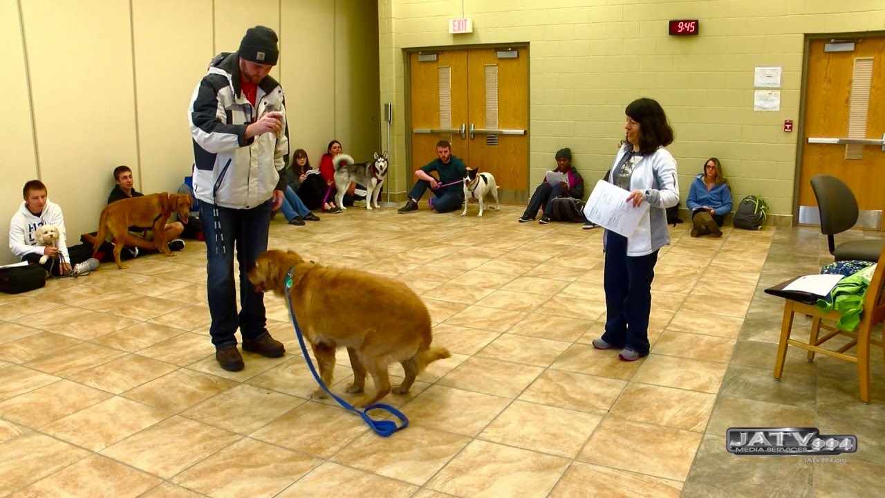 2015 Animal Behavior Lab - YouTube