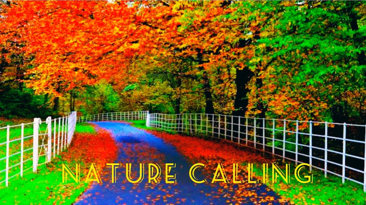 𝙽𝚊𝚝𝚞𝚛𝚎 𝙲𝚊𝚕𝚕𝚒𝚗𝚐 - YouTube