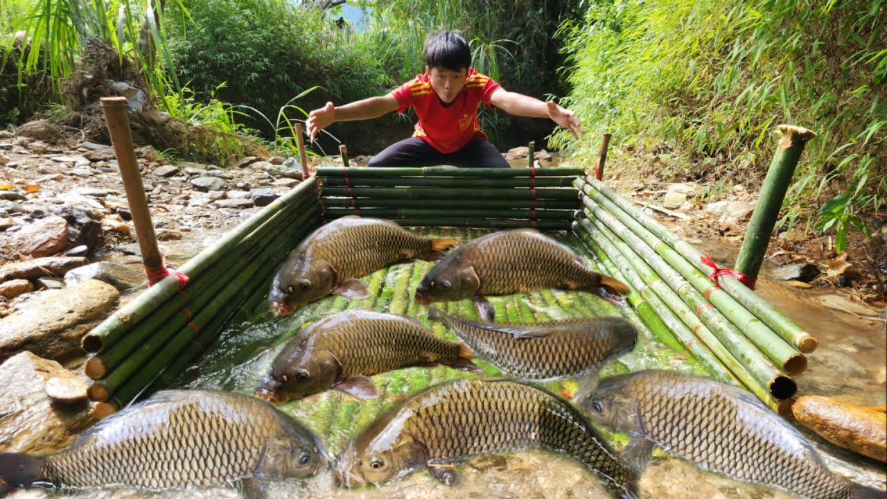Boy Lam made a fish trap using an ancient method. Unexpectedly, he ...
