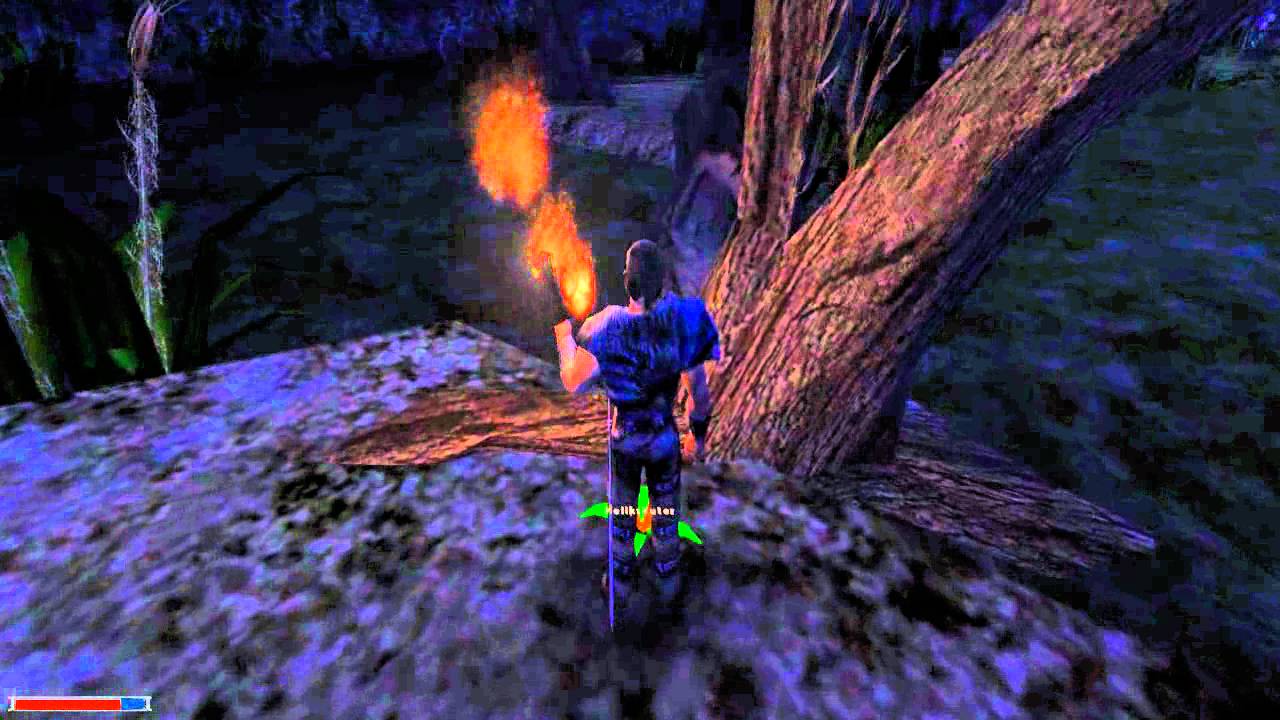 Let's Play Gothic 1 - 062 - Nachtwanderung im Sumpf - YouTube