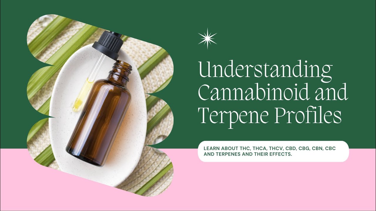 Cannabinoid Profiles THC THCA THCV CBD CBG CBN CBC Terpenes cannabinoid-profiles-thc-thca-thcv-cbd-cbg-cbn-cbc-terpenes
