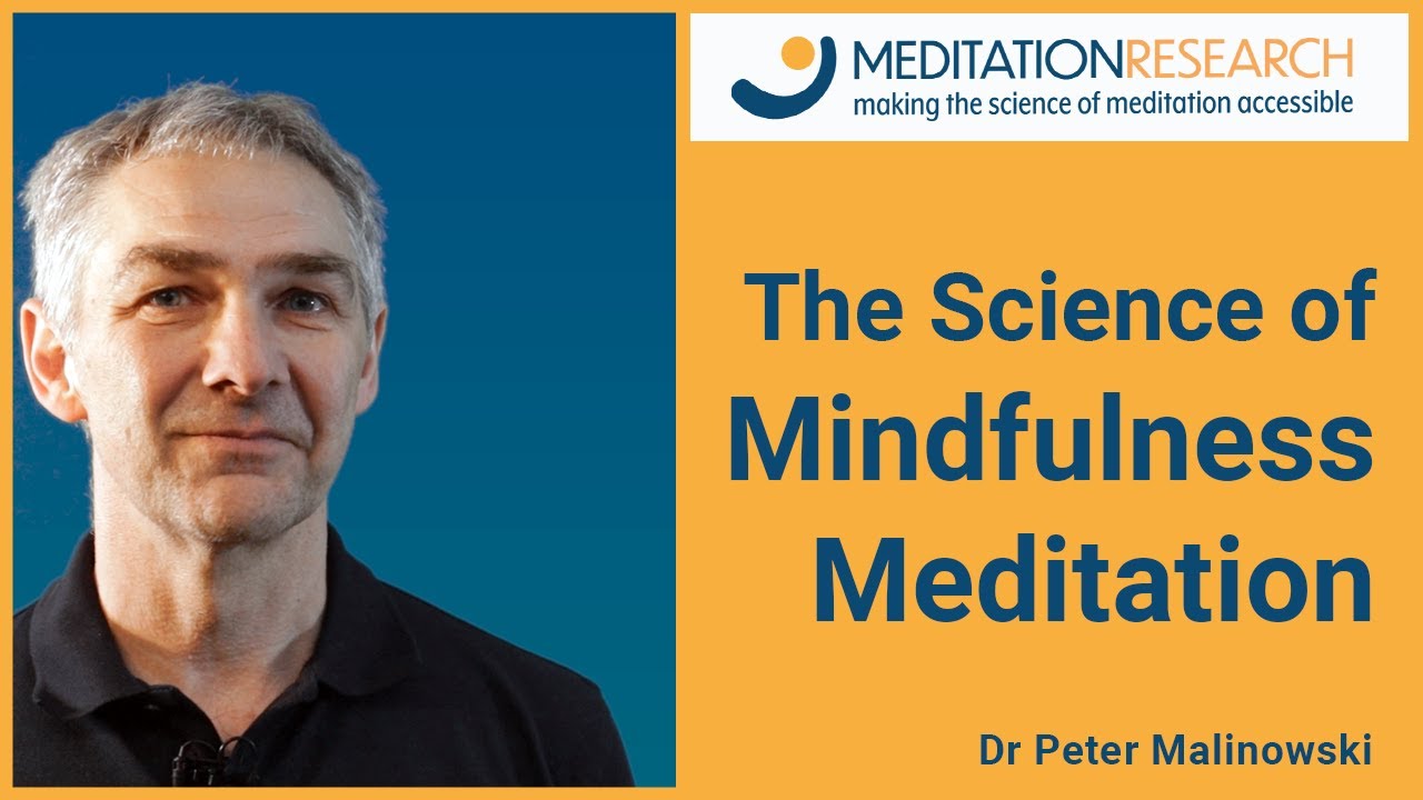 The Science of Mindfulness Meditation - YouTube