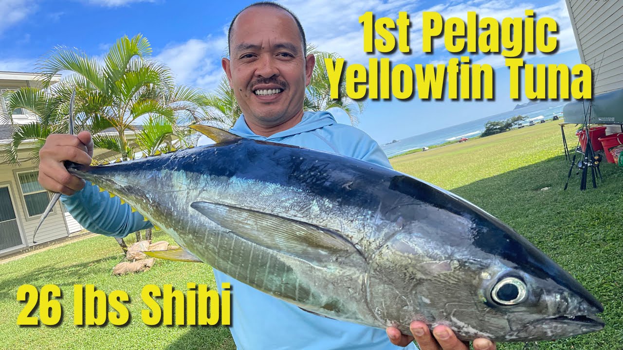 26 lbs Yellowfin Tuna from a Kayak - Hawaii Kayak Fishing - YouTube