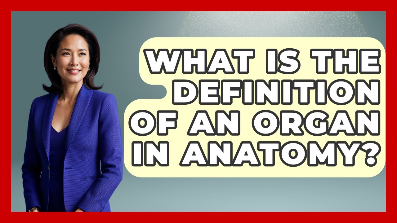 What Is the Definition of an Organ in Anatomy? | All About Anatomy ...
