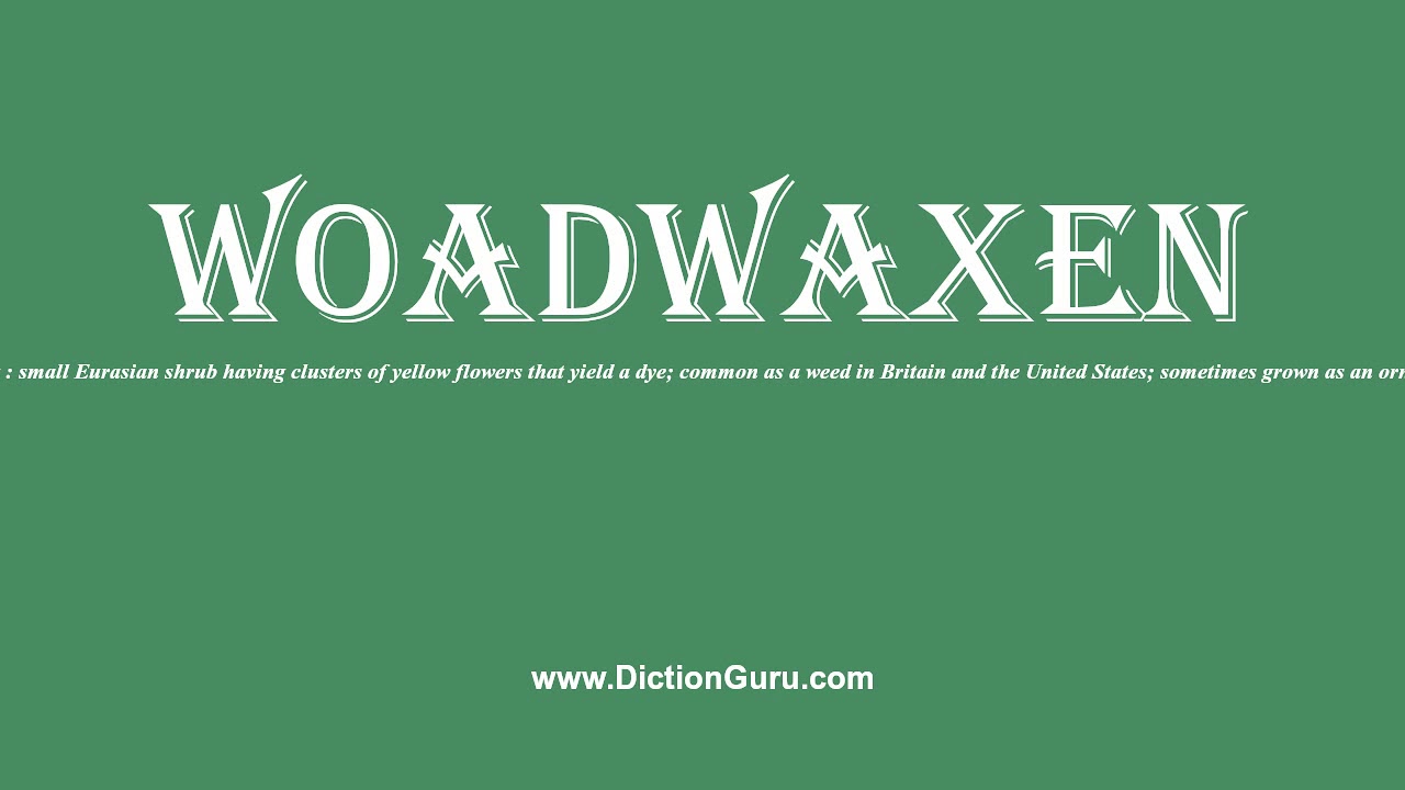 woadwaxen: How to pronounce woadwaxen with Phonetic and Examples - YouTube