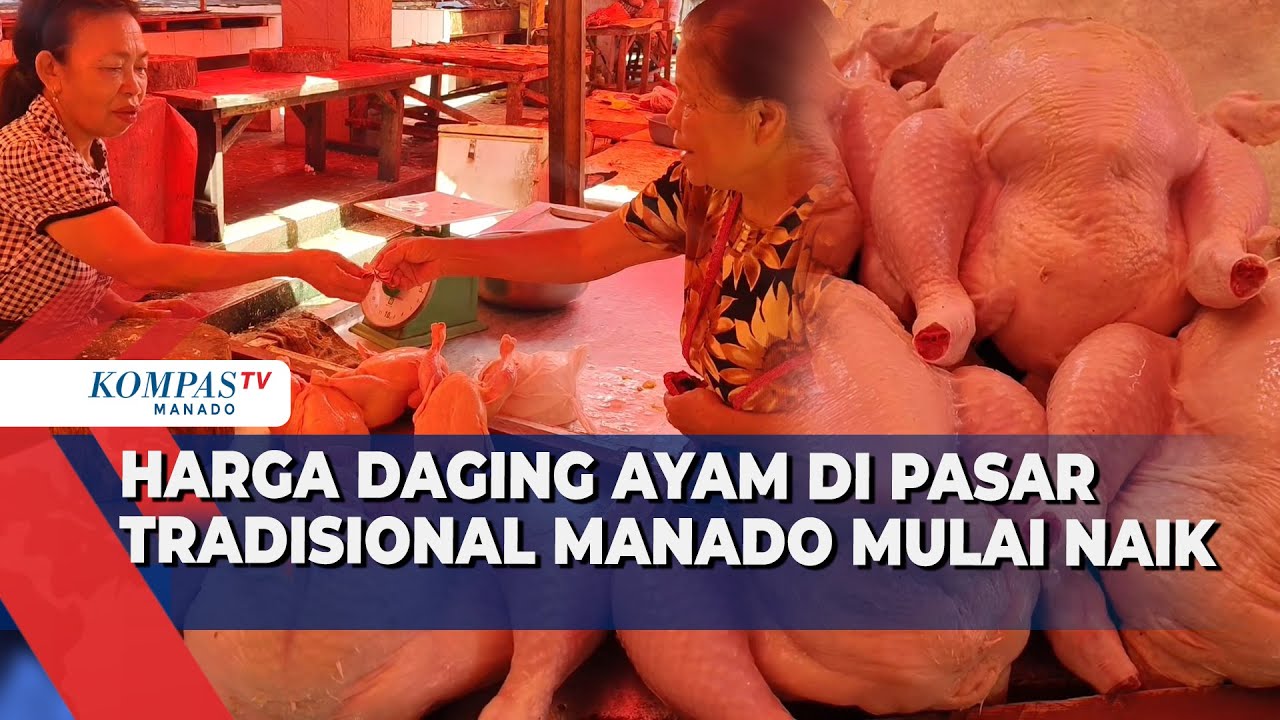 Awal Ramadan, Harga Daging Ayam di Pasar Tradisional Kota Manado Mulai ...