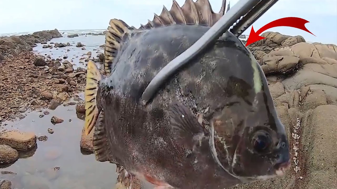 Fishing under bad weather conditions – How to catch trophy fish in any ...