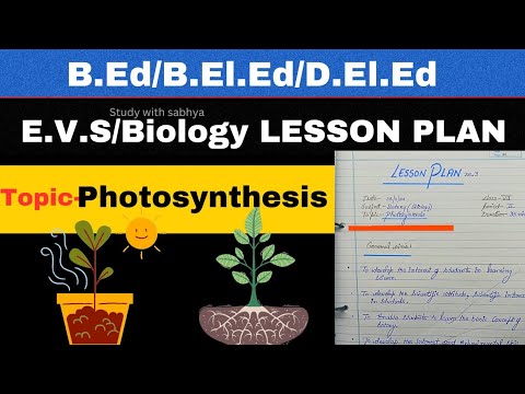 photosynthesis easy Lesson plan for B.Ed. & B.El.Ed./Photosynthesis ...