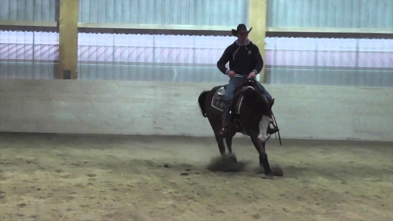 Docs Gotta Spook – FOR SALE - YouTube