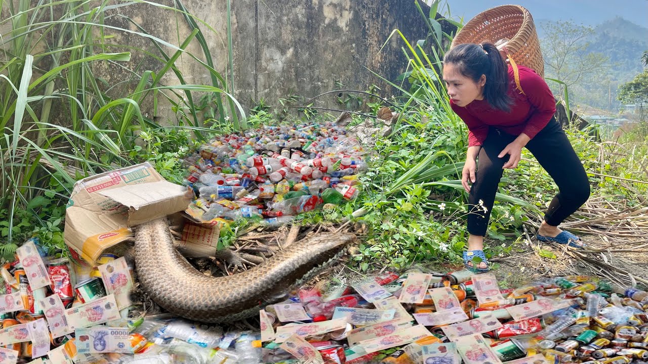 Garbage girl horrified to discover strange creature and large amount of ...