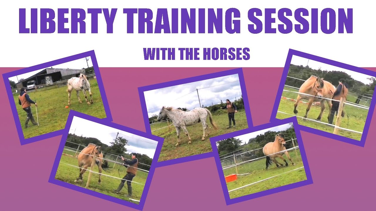 LIBERTY TRAINING SESSION VLOG - YouTube
