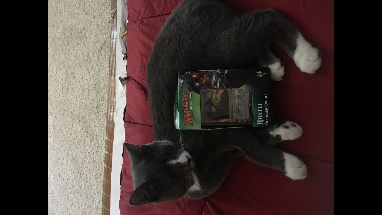 MTG IXALAN Huatli Dinosaur Knight Deck opening - YouTube