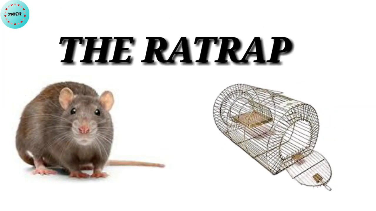 The rattrap class 12th by Selma lagerlof white board animation - YouTube