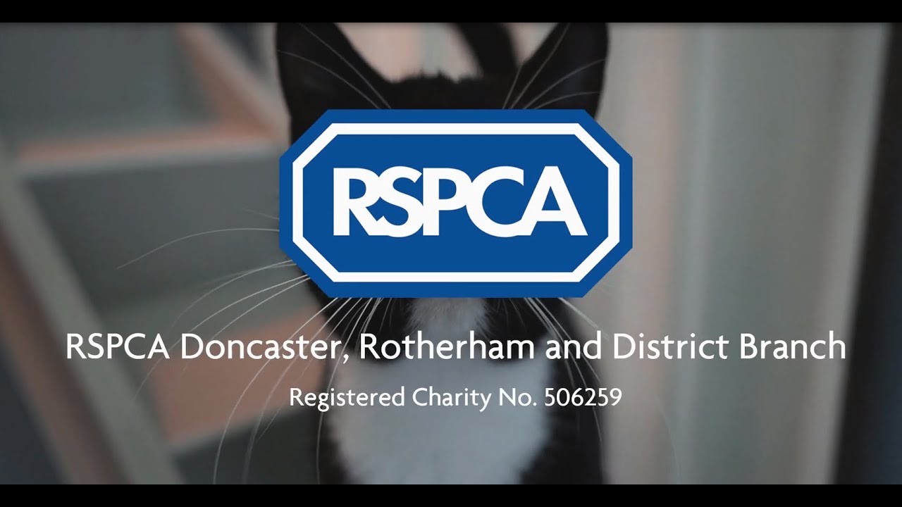 Our Mission - RSPCA Doncaster Rotherham District Branch - YouTube