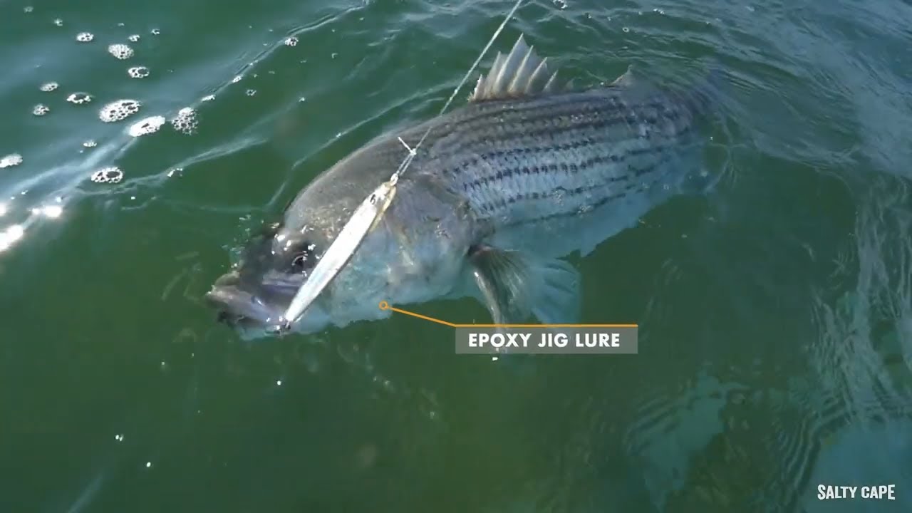 Hogy Lure Kits: Striper Jigging Kit - YouTube