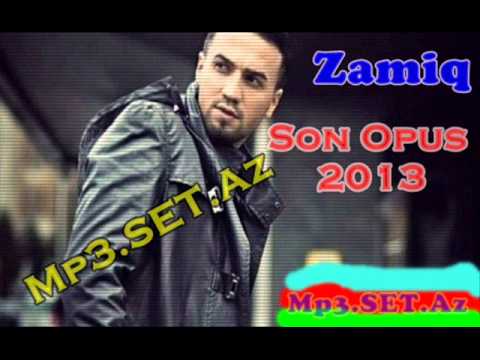 Zamiq   Son Opus 2013