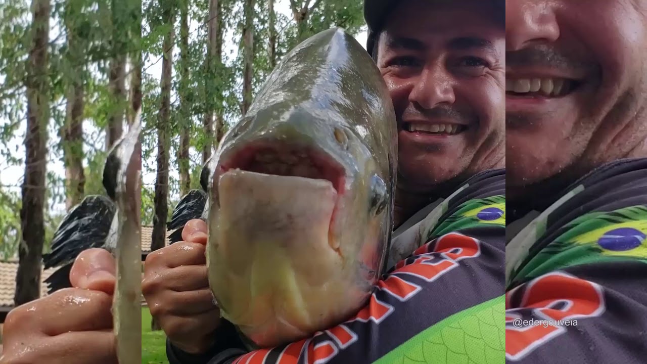 Cap 02 - Pesqueiro do Japonês na cidade de Olimpia Sp - YouTube