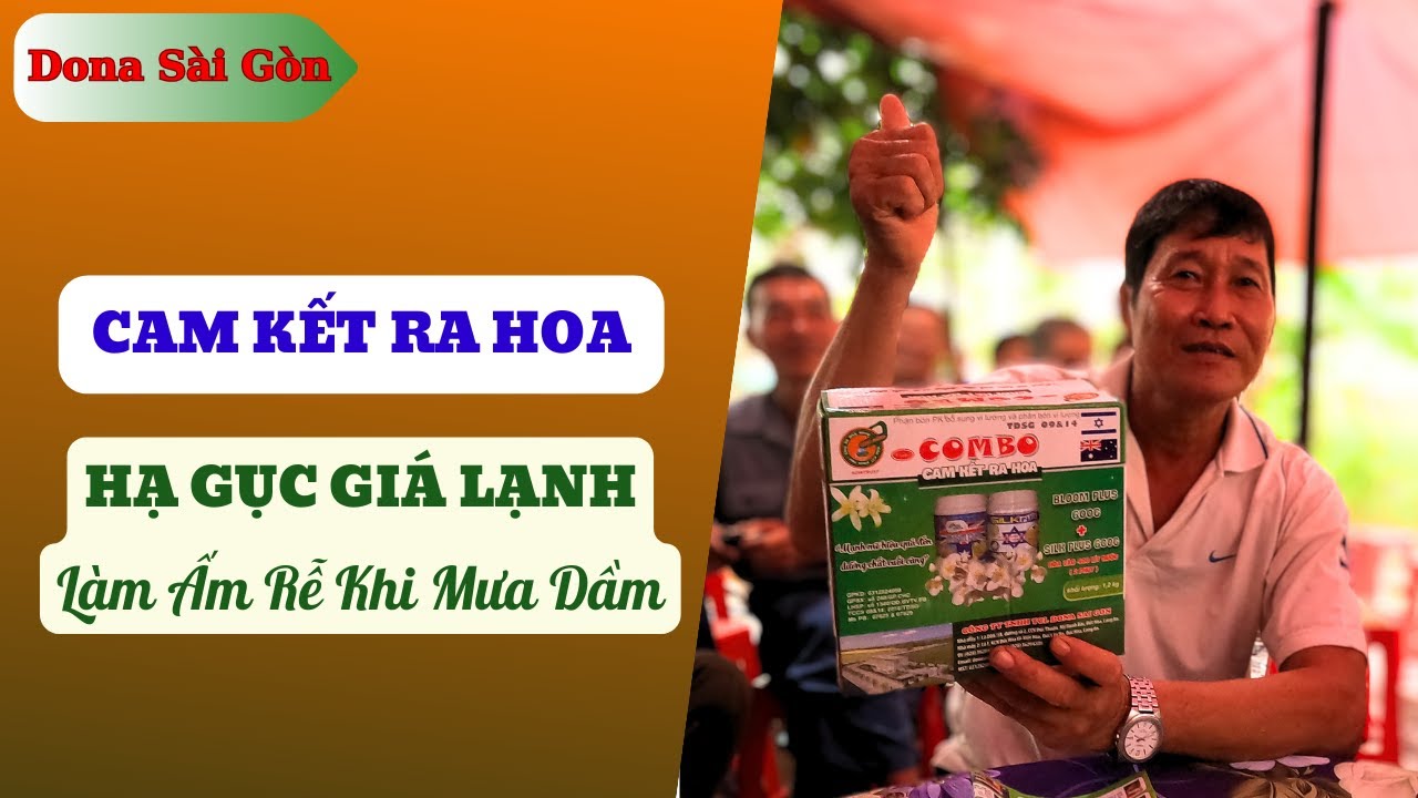 Sầu Riêng | Cam Kết Ra Hoa | Hạn Chế Rụng Bông Khi Mưa Dầm | Dona Sài ...