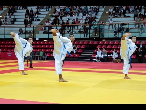 CHAMPION DE FRANCE KATA EQUIPE 2013 Cadet/Junior / FRANCE TEAM KATA ...