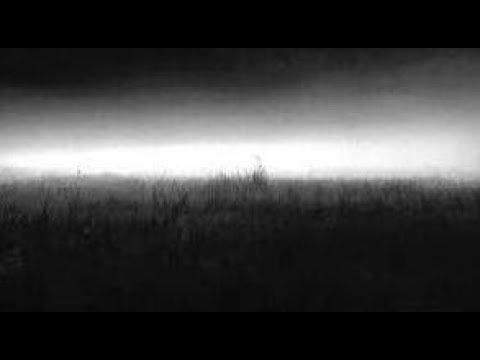 Vortex Involute - Ambience - YouTube