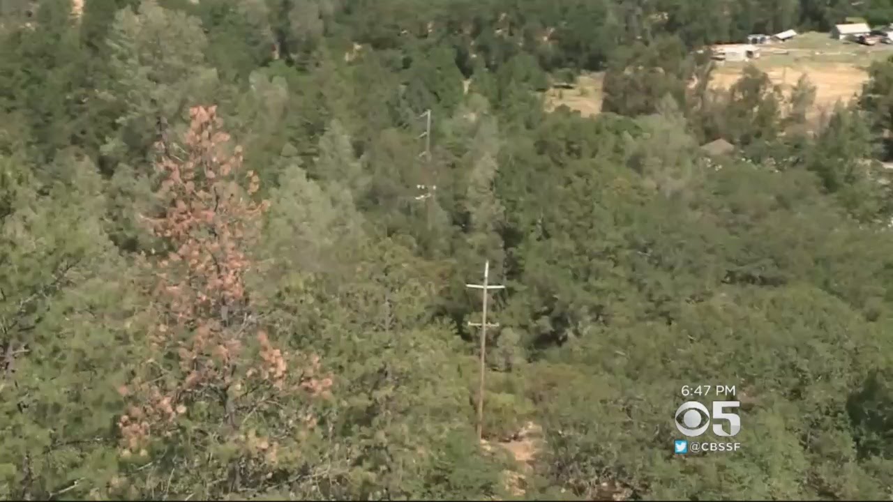 DEAD TREES: PG&E takes to the air to survey dead and dying trees near ...