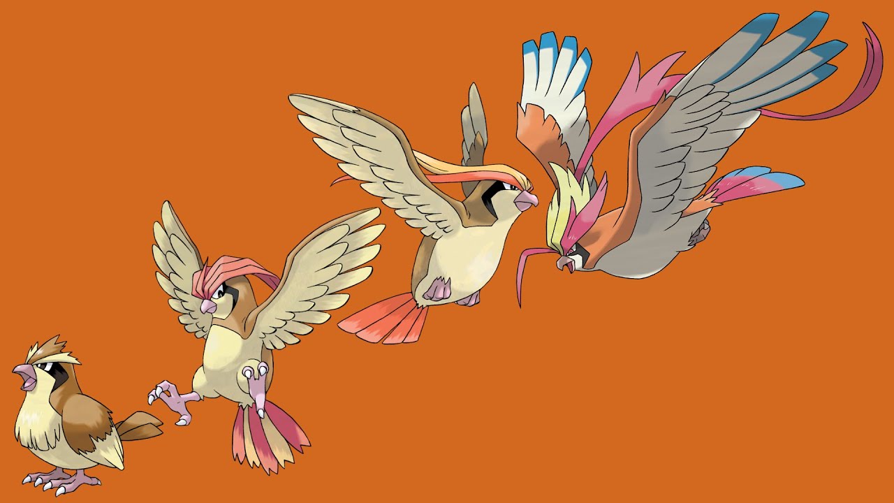 THE PIDGEY LINE - Pokédex Review 06 - YouTube