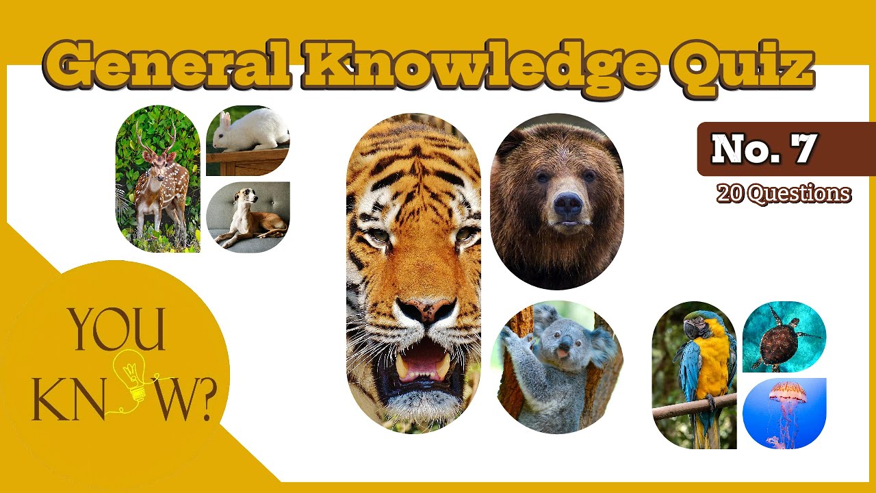 🐎 Hard to get 100%! -The ultimate General Knowledge Animal Quiz - YouTube